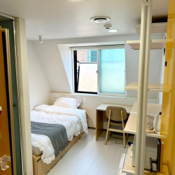 Goshipages - Accommodation at Stay Nine